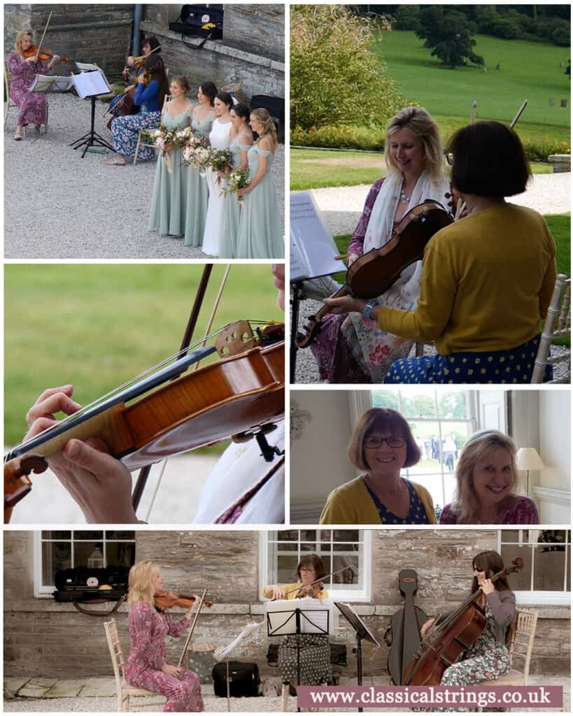String Trio for Weddings Cornwall and Devon - Classical Strings